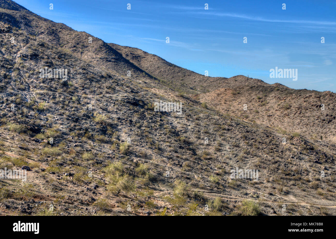 The Arizona desert taken in winter when its cooler out Stock Photo - Alamy
