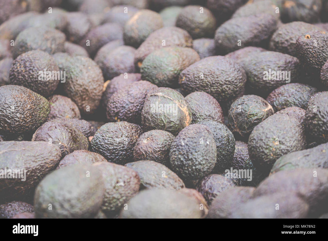 Big avocados hi-res stock photography and images - Alamy