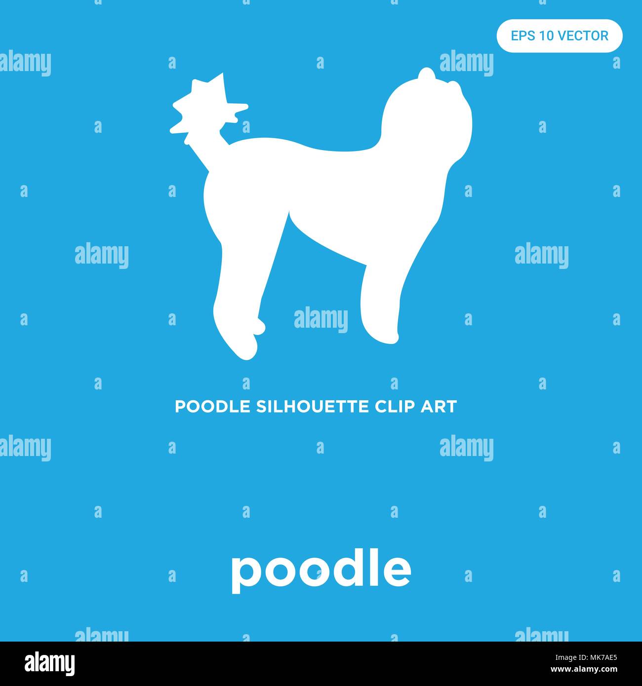 poodle vector icon isolated on blue background, sign and symbol Stock ...