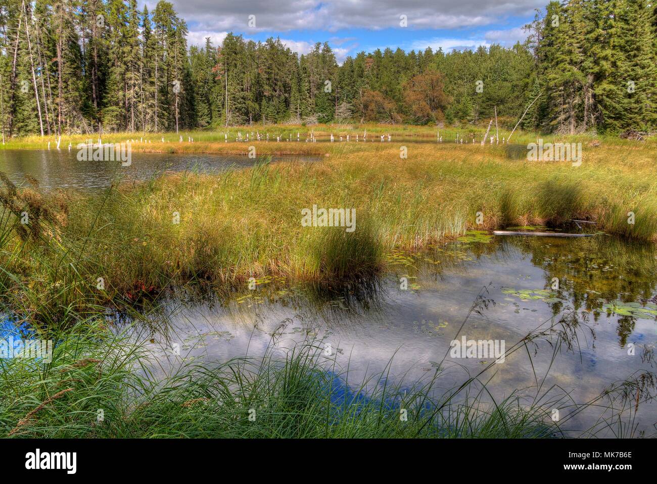 White Lake Provincial Park is an isloated park located near Mobert and ...