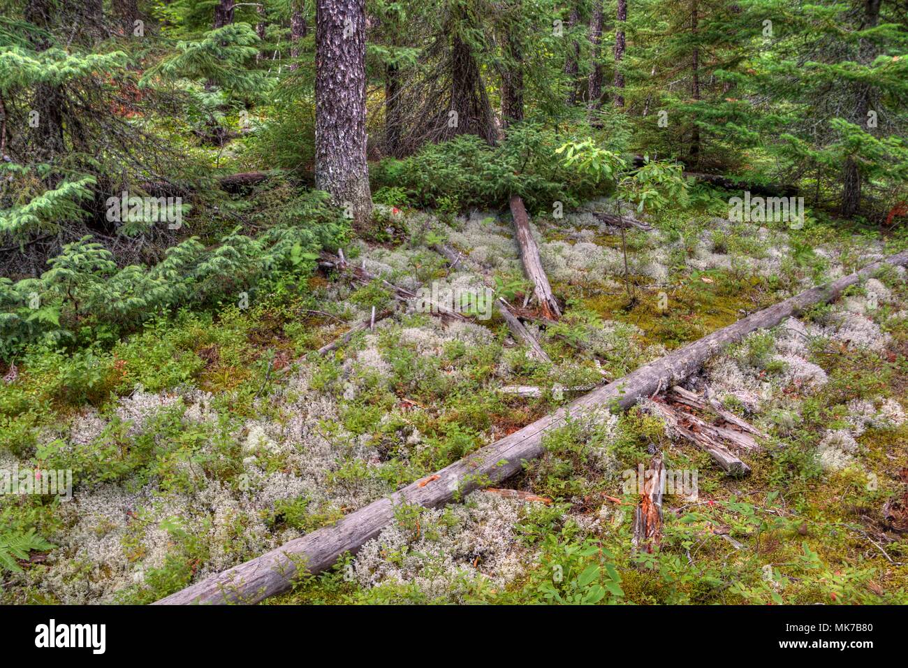White Lake Provincial Park is an isloated park located near Mobert and ...