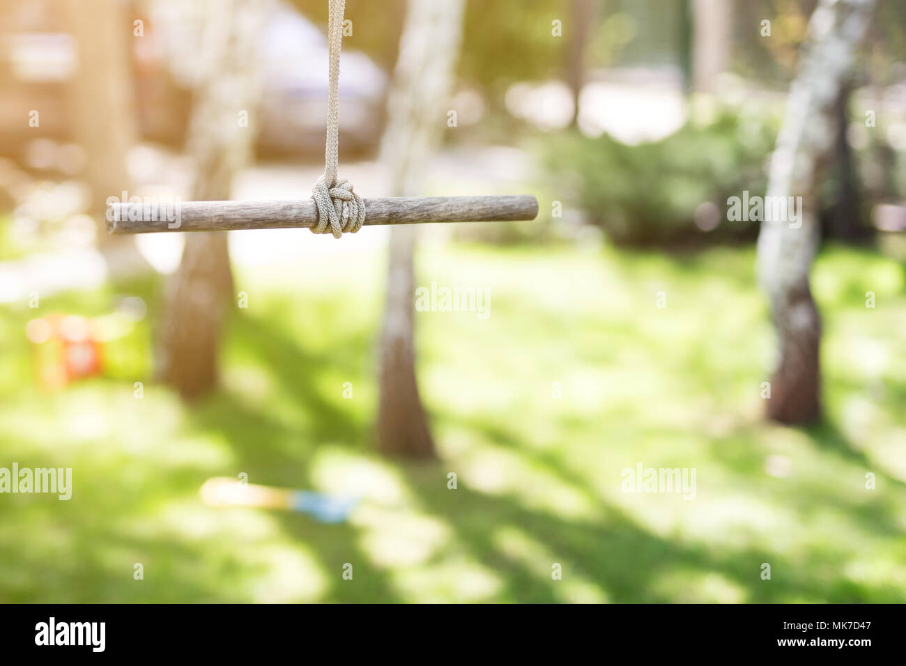Wooden single rope swing in garden on bright sunny day. Green grass ...