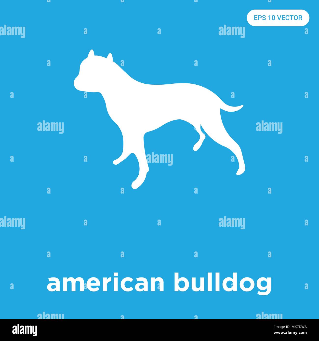 american bulldog vector icon isolated on blue background, sign and ...
