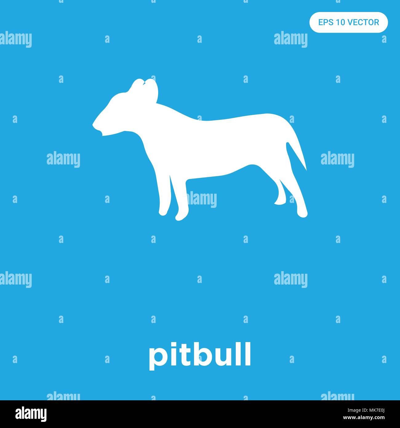 pitbull vector icon isolated on blue background, sign and symbol Stock ...