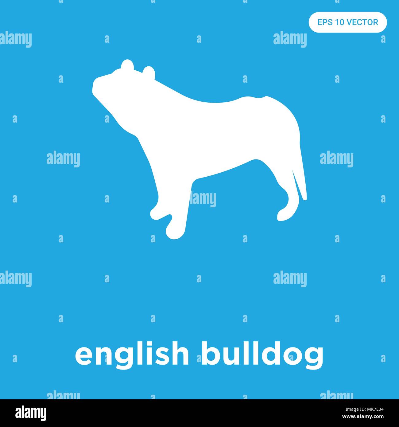 English bulldog png hi-res stock photography and images - Alamy