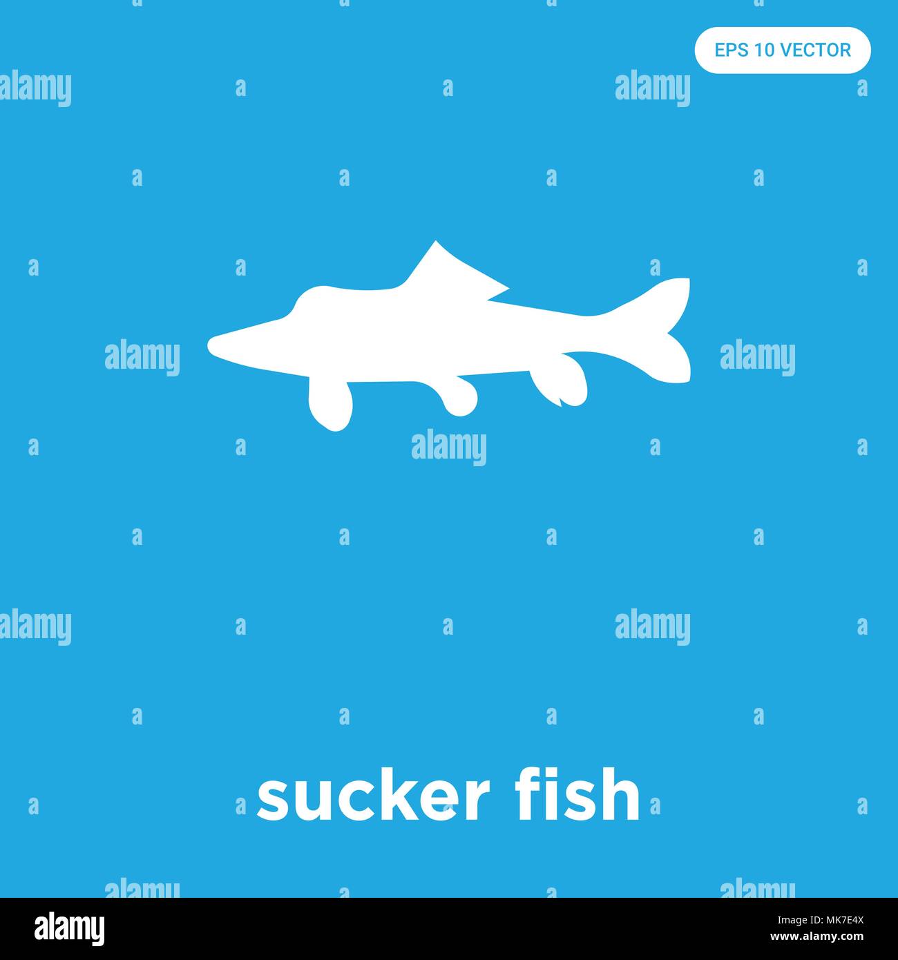 Suckerfish Stock Vector Images - Alamy