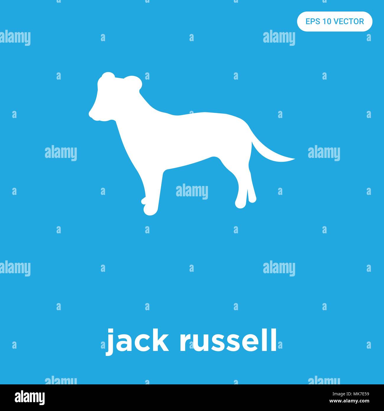 jack russell vector icon isolated on blue background, sign and symbol ...