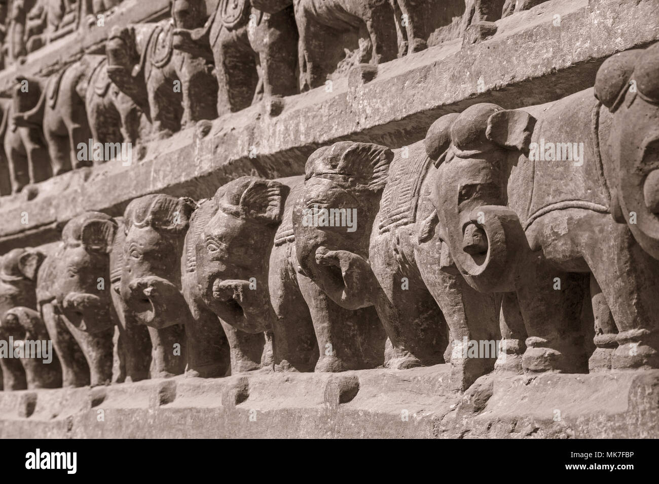 row of elephants carved on wall of Meera Krishna Temple in Jaipur ...