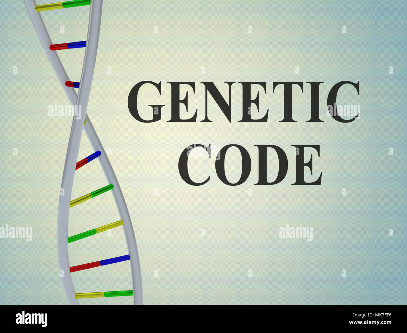 Human evolution chart hi-res stock photography and images - Alamy