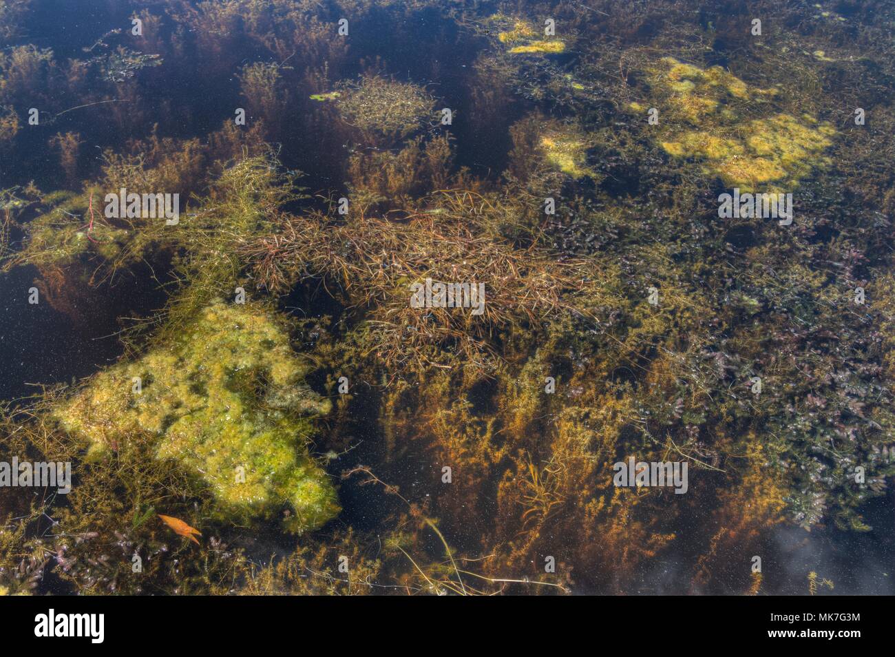 Zippel Bay is a state park in far north Minnesota on the Canadian ...
