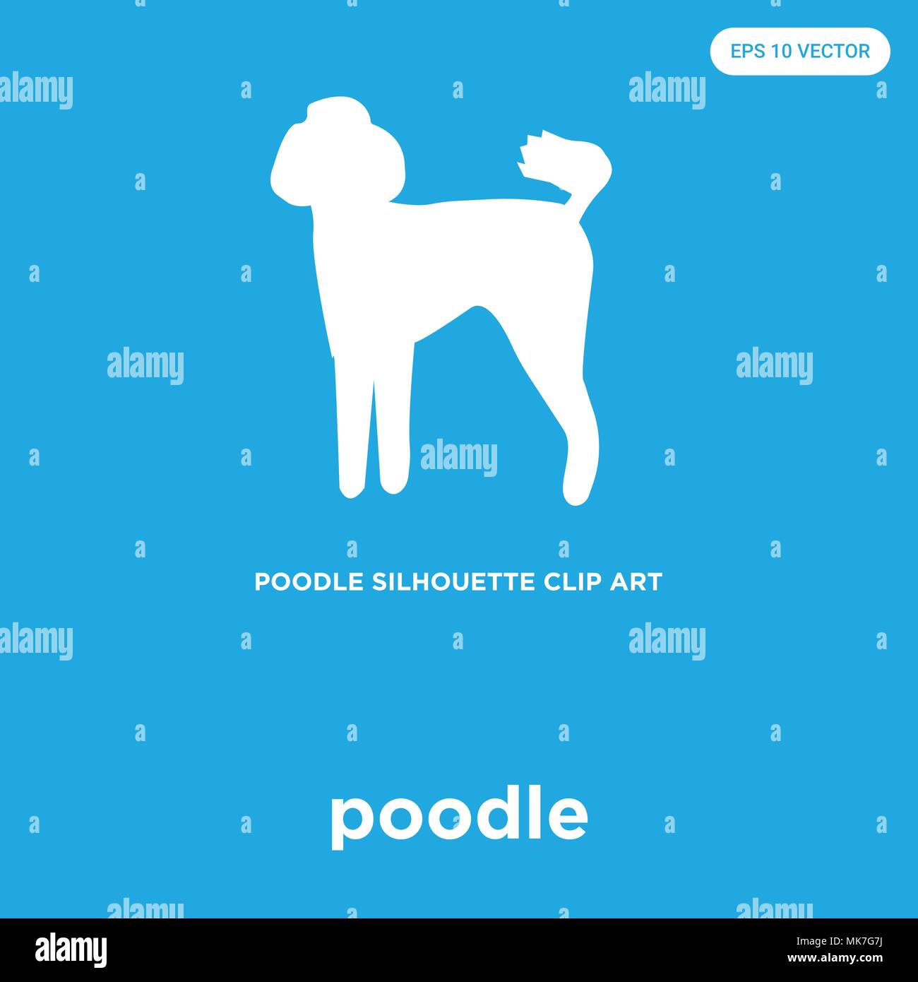 poodle vector icon isolated on blue background, sign and symbol Stock ...