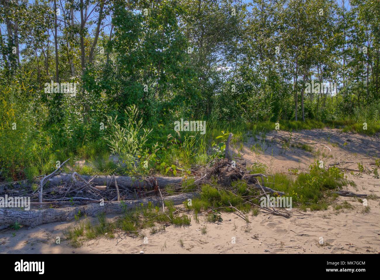 Zippel Bay is a state park in far north Minnesota on the Canadian ...