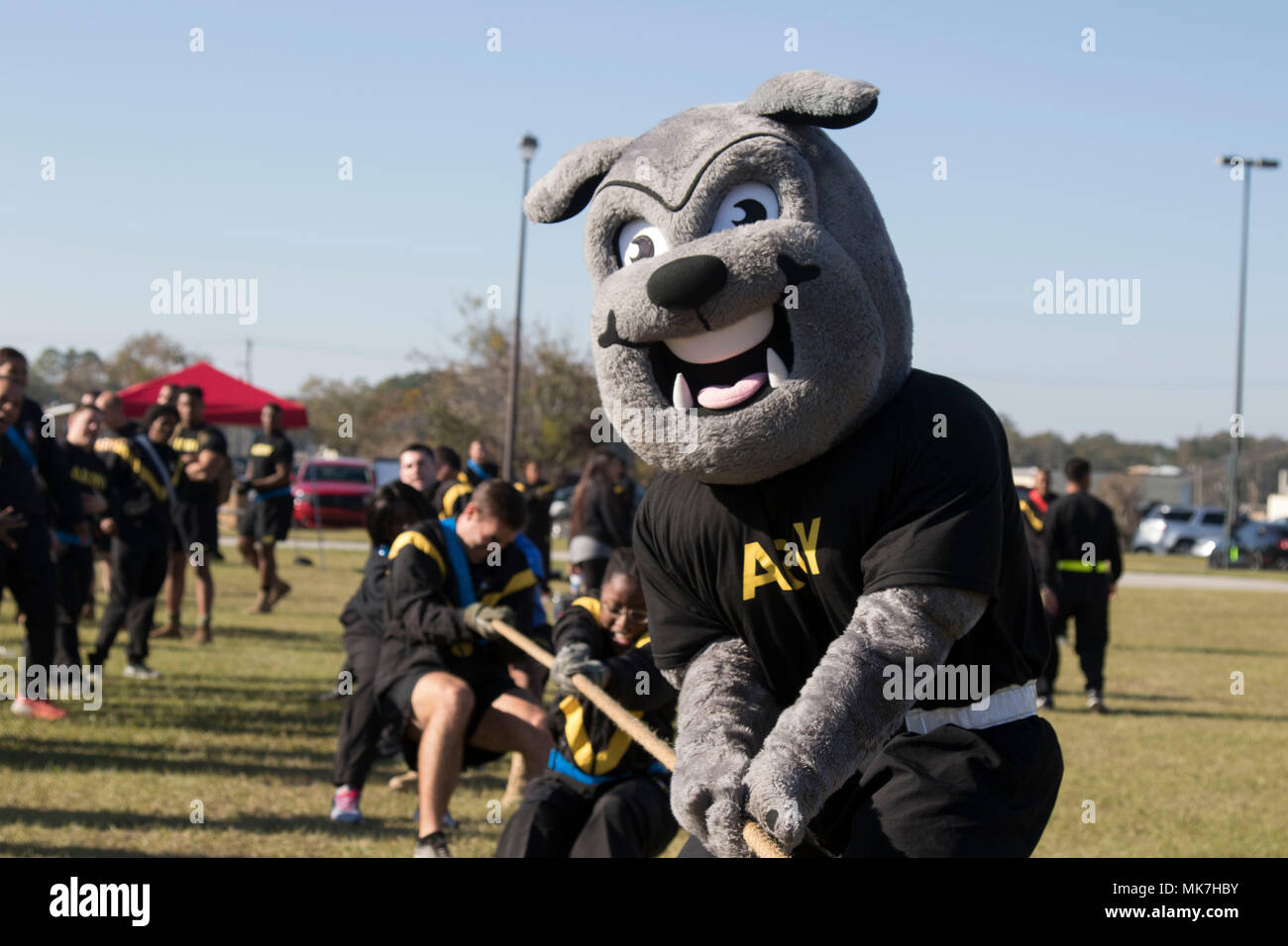 Sgt. Rocky, 3rd Infantry Division's mascot, tugs on the rope with a ...