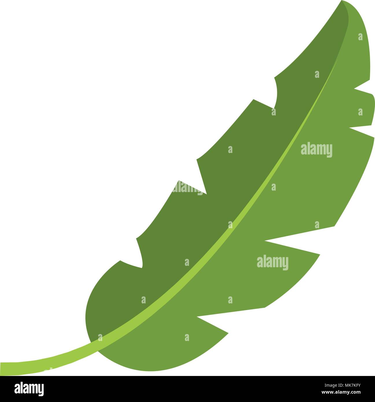 natural leaf botany exotic style Stock Vector Image & Art - Alamy