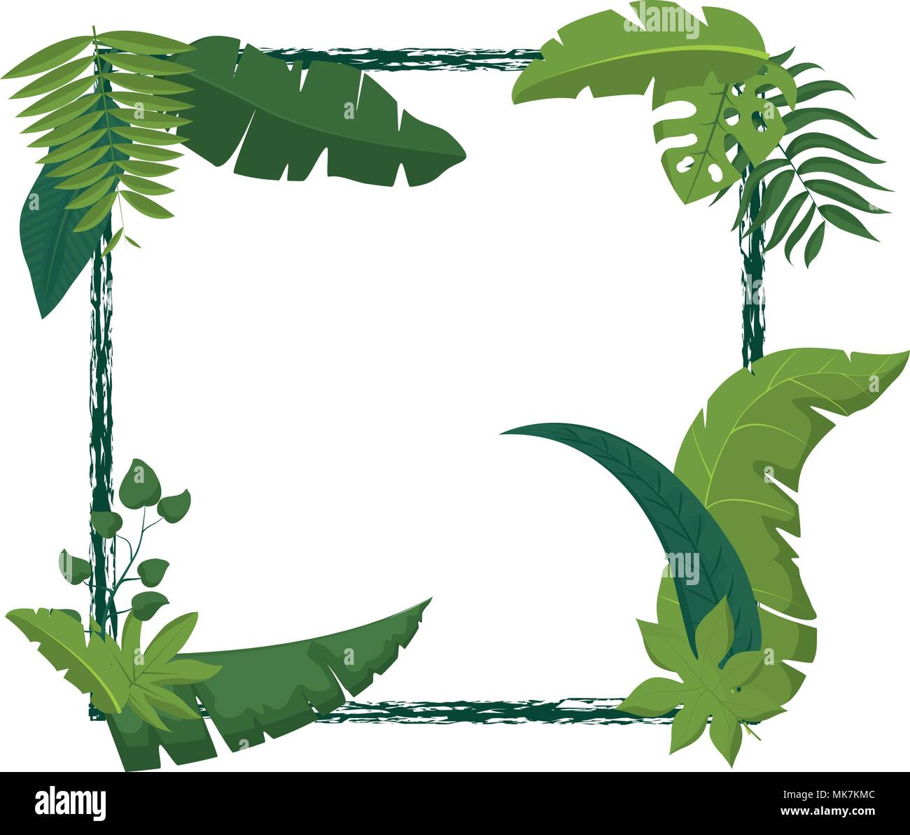 square natural plant leaves decoration Stock Vector Image & Art - Alamy