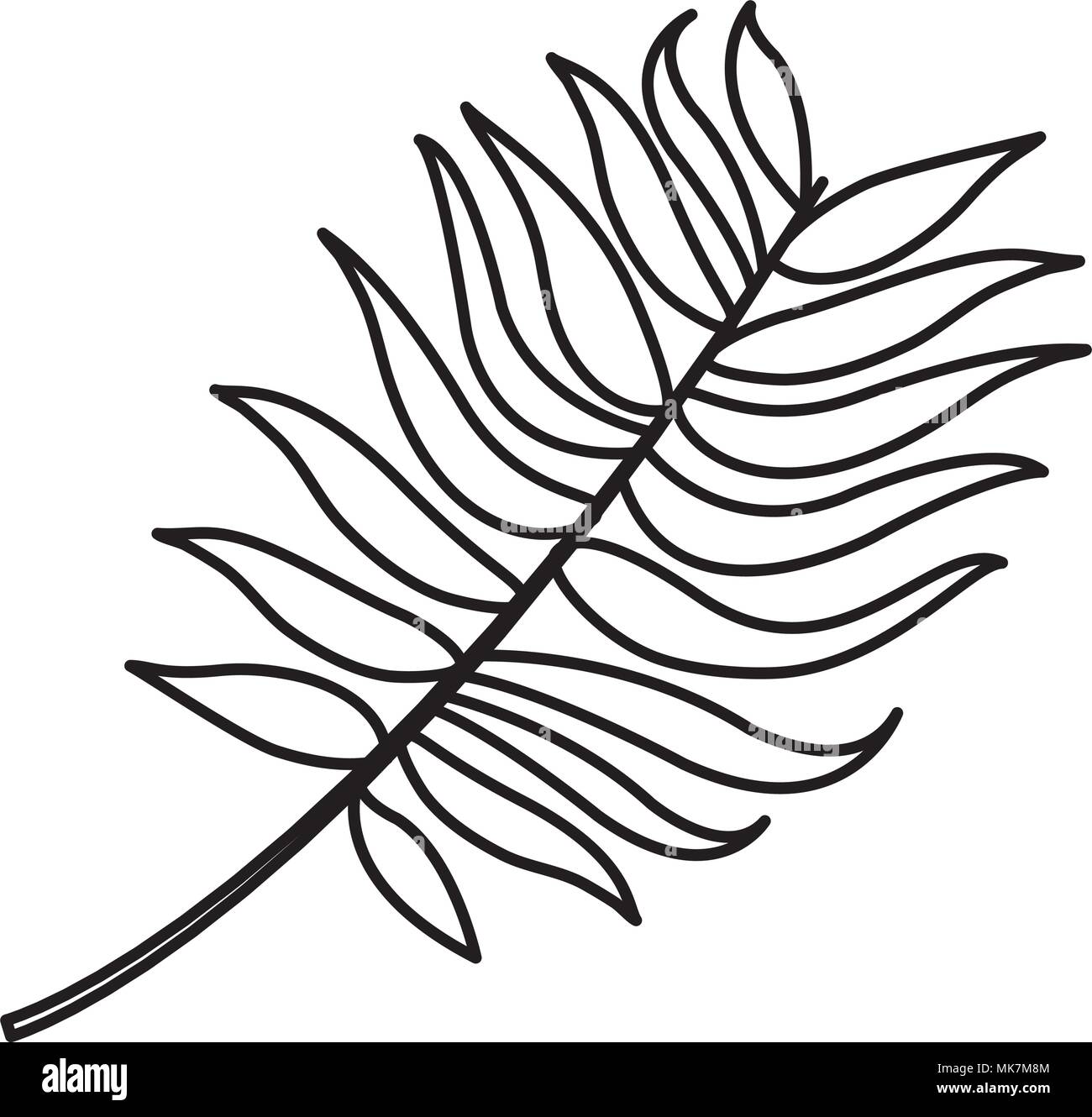 line exotic branch natural leaves design Stock Vector Image & Art - Alamy
