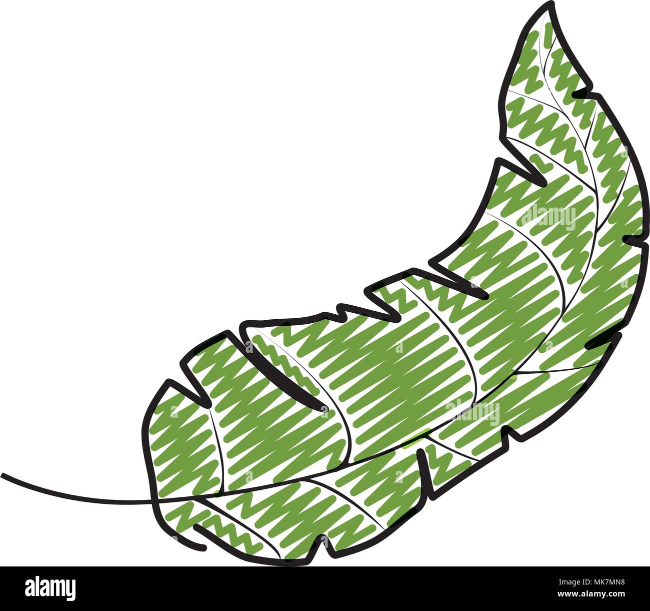 doodle botany and exotic leaf natural style Stock Vector Image & Art ...