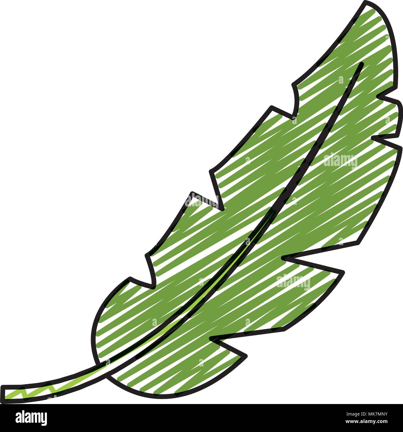doodle natural leaf botany exotic style Stock Vector Image & Art - Alamy