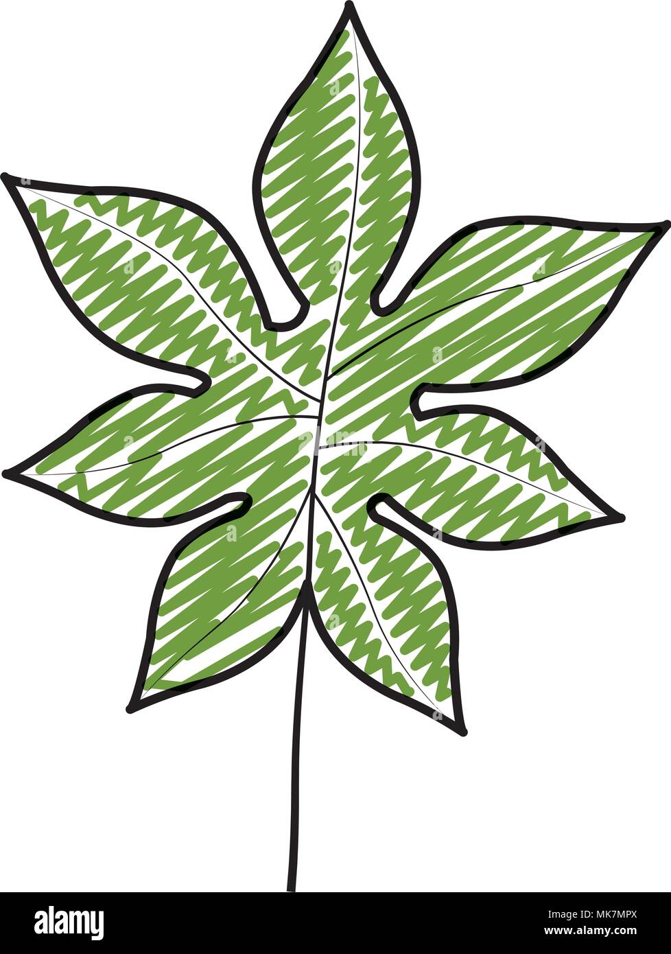 doodle exotic branch with natural leaves design Stock Vector Image ...