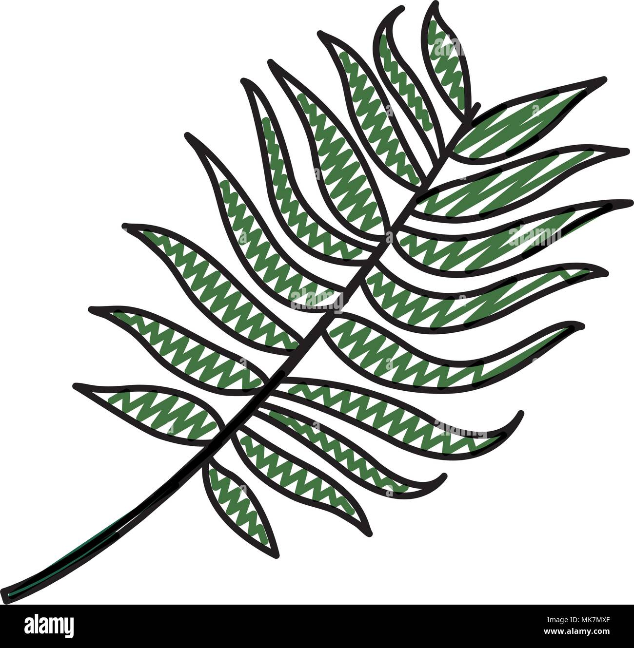 doodle exotic branch natural leaves design Stock Vector Image & Art - Alamy