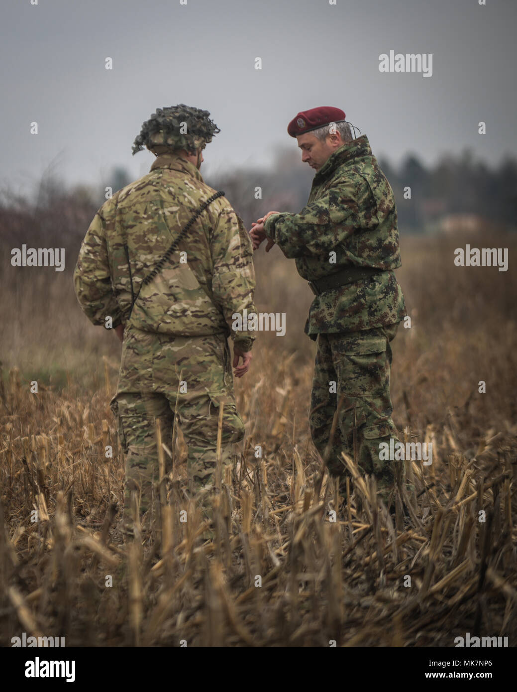 U.S. Army Paratroopers with 2nd Battalion, 503rd Infantry Regiment ...