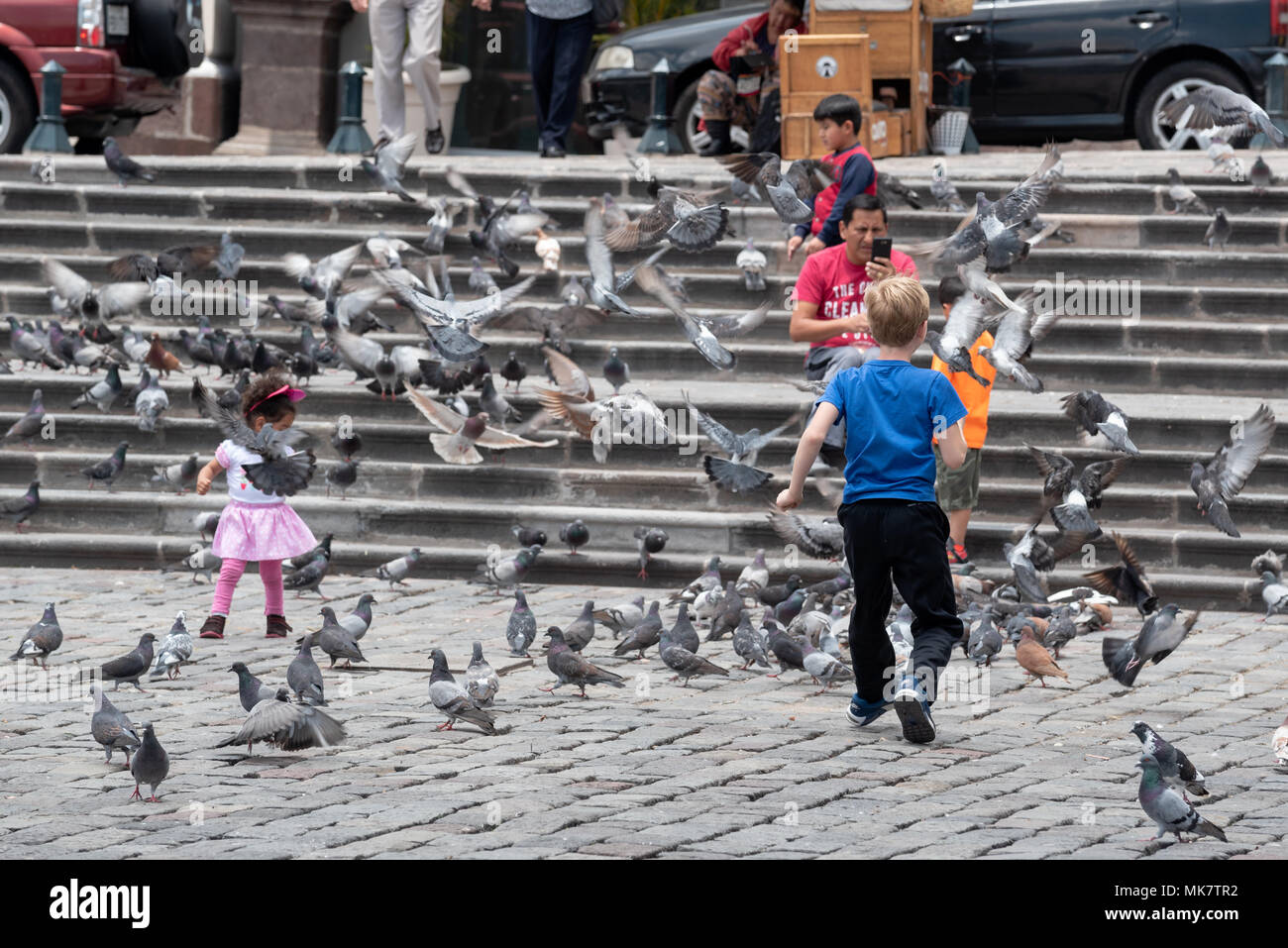 Children chasing pigeons in Saint Francis Square, Quito, Ecuador Stock ...