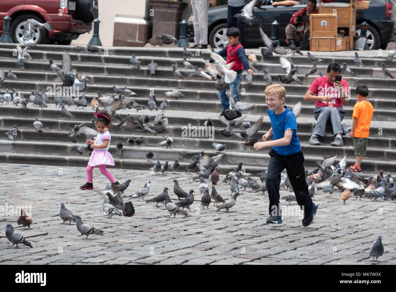 Kids chasing pigeons hi-res stock photography and images - Alamy