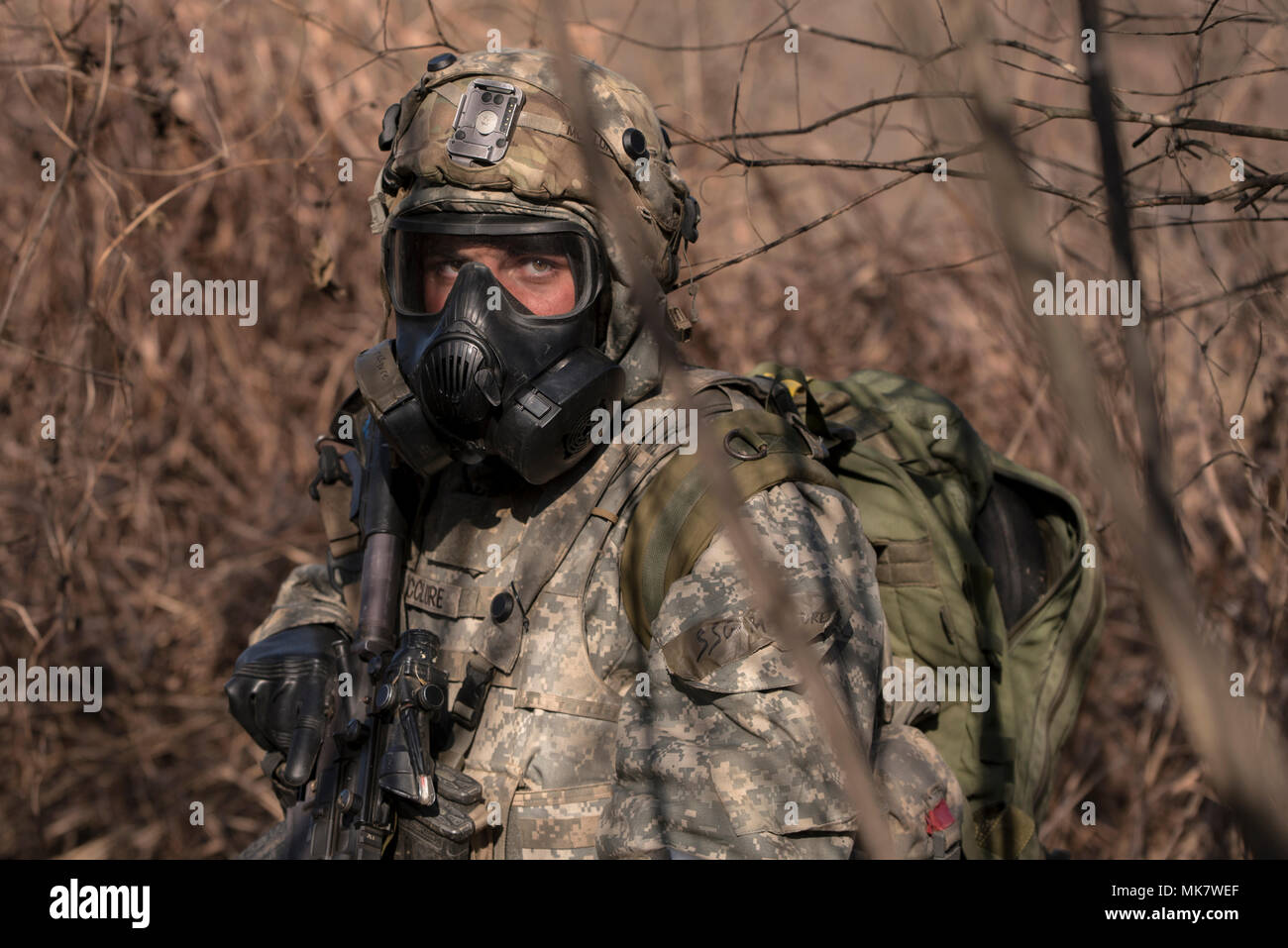 1 9cav hi-res stock photography and images - Alamy
