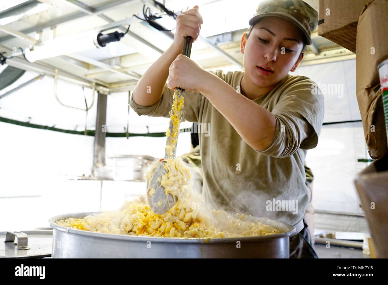 497th combat sustainment support battalion hi-res stock photography and ...