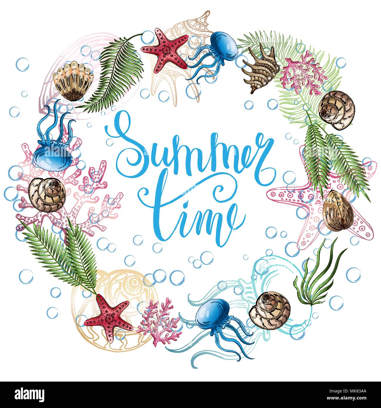 Composition of seashells, starfish, jellyfish. Underwater world. Sea ...