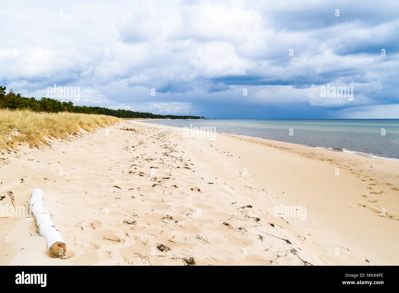 Ahus, Sweden. Rainclouds approaching the sandy beach Stock Photo - Alamy