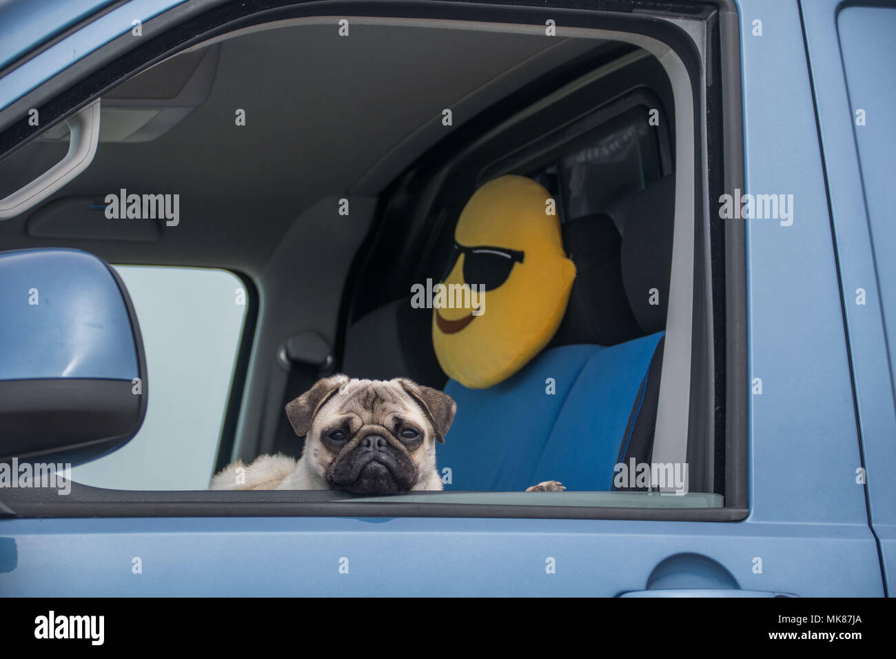 Glum face hi-res stock photography and images - Alamy