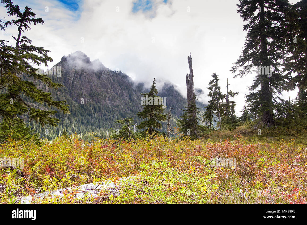 Appleton Pass, Olympic National Park Landscape Stock Photo - Alamy