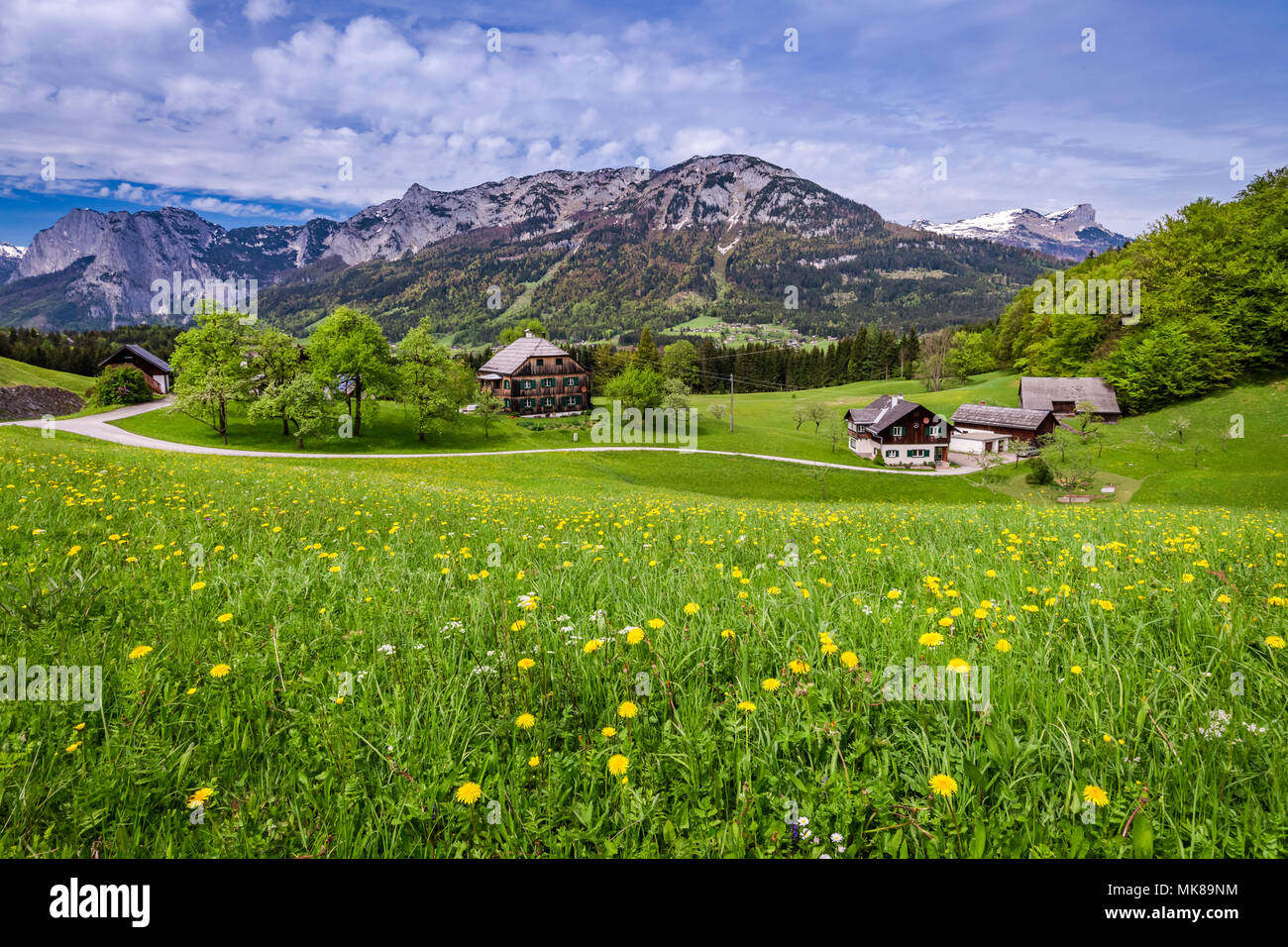 Springtime In Austrian Alps