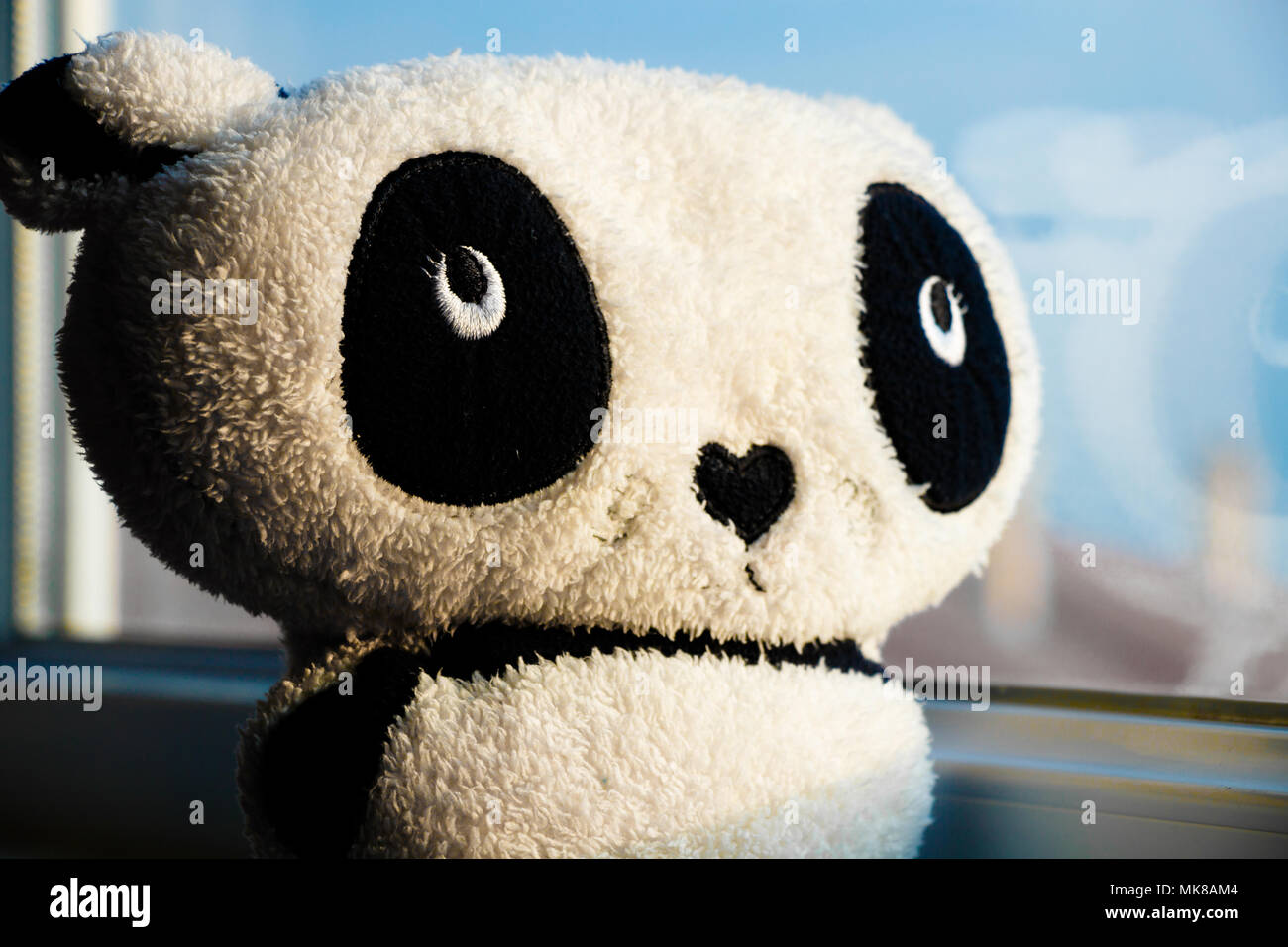 The toy panda looks at outside window in house Stock Photo - Alamy
