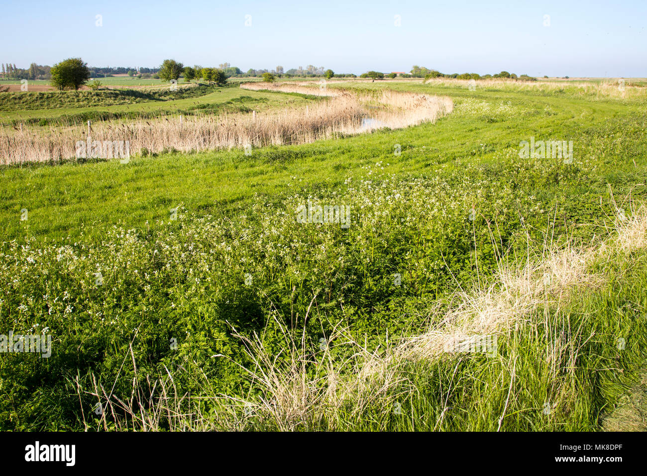 Hollesley Marshes High Resolution Stock Photography and Images - Alamy