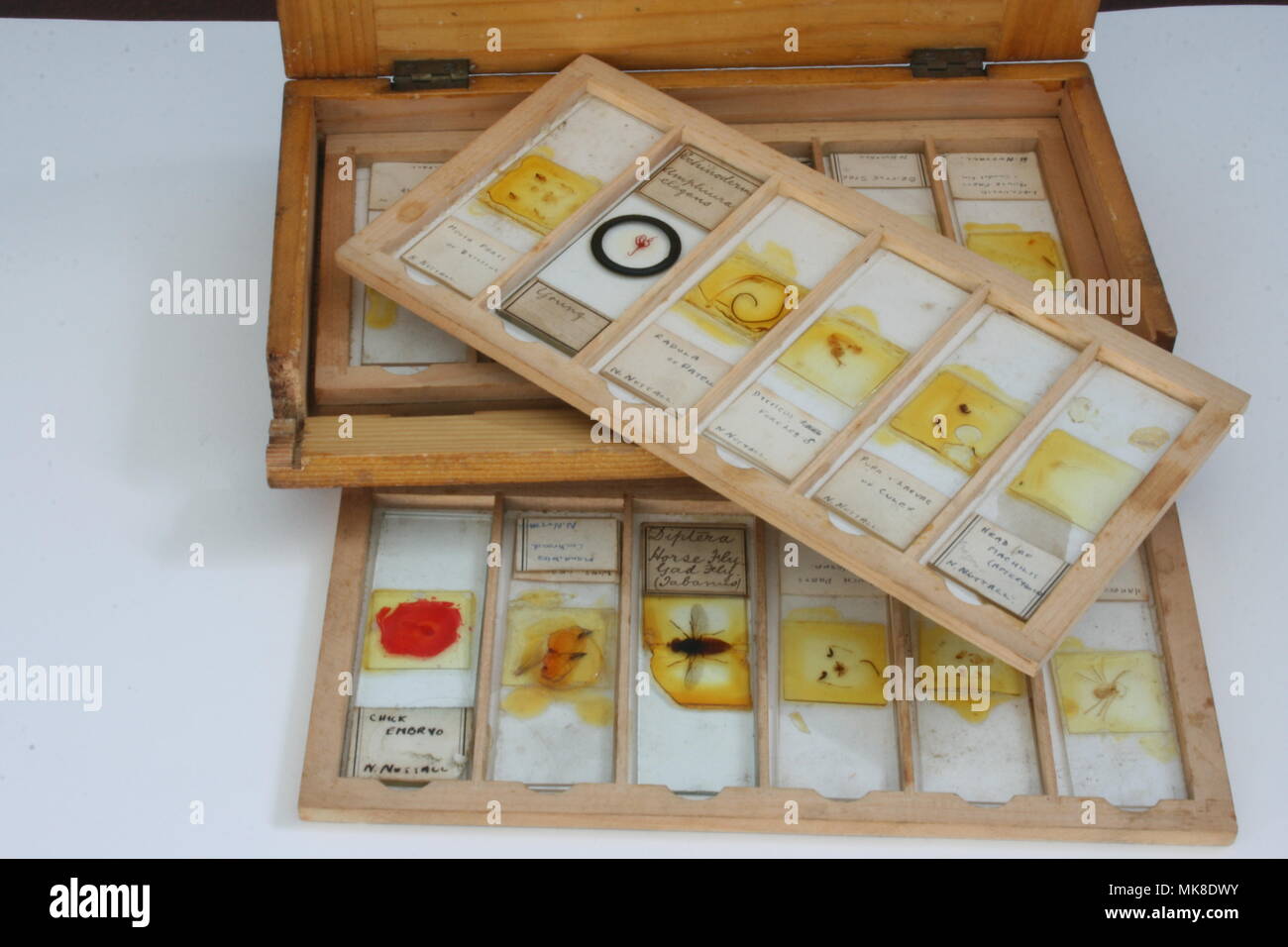 Slide trays hi-res stock photography and images - Alamy