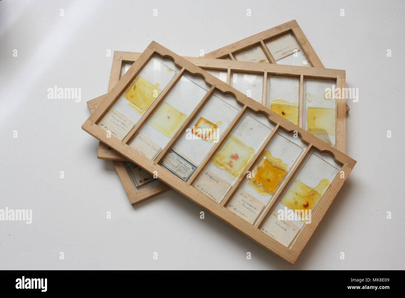 Microscope slides hi-res stock photography and images - Alamy