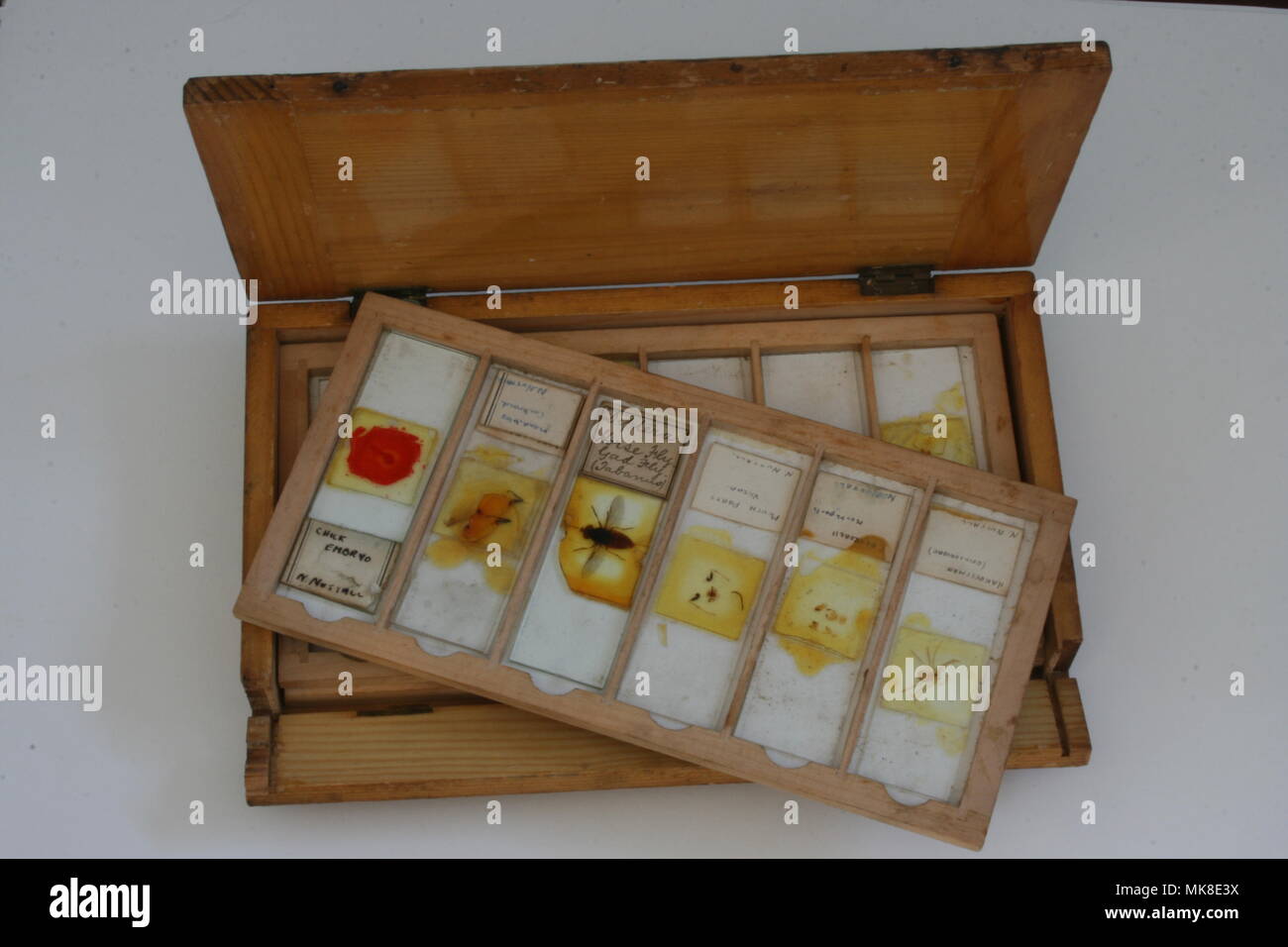 Microscope Slides in wooden tray and Box Stock Photo - Alamy