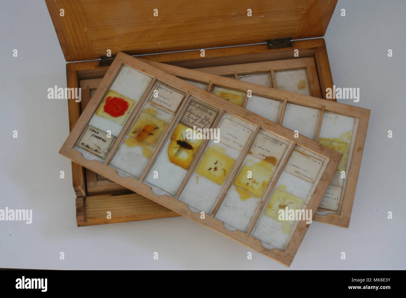 Dissection tray hi-res stock photography and images - Alamy