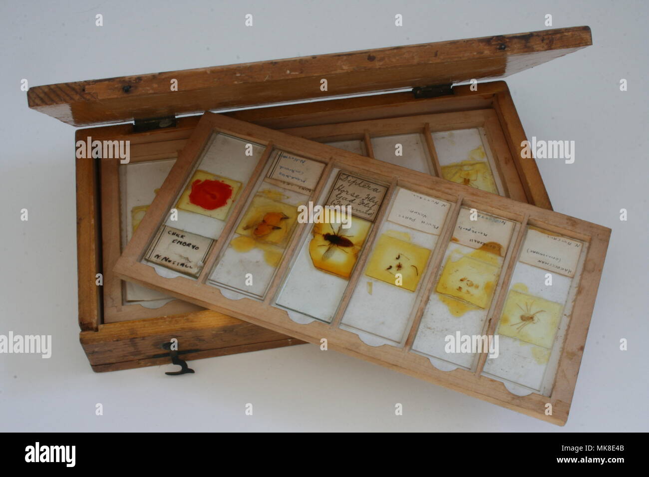 Microscope slide specimens hi-res stock photography and images - Alamy