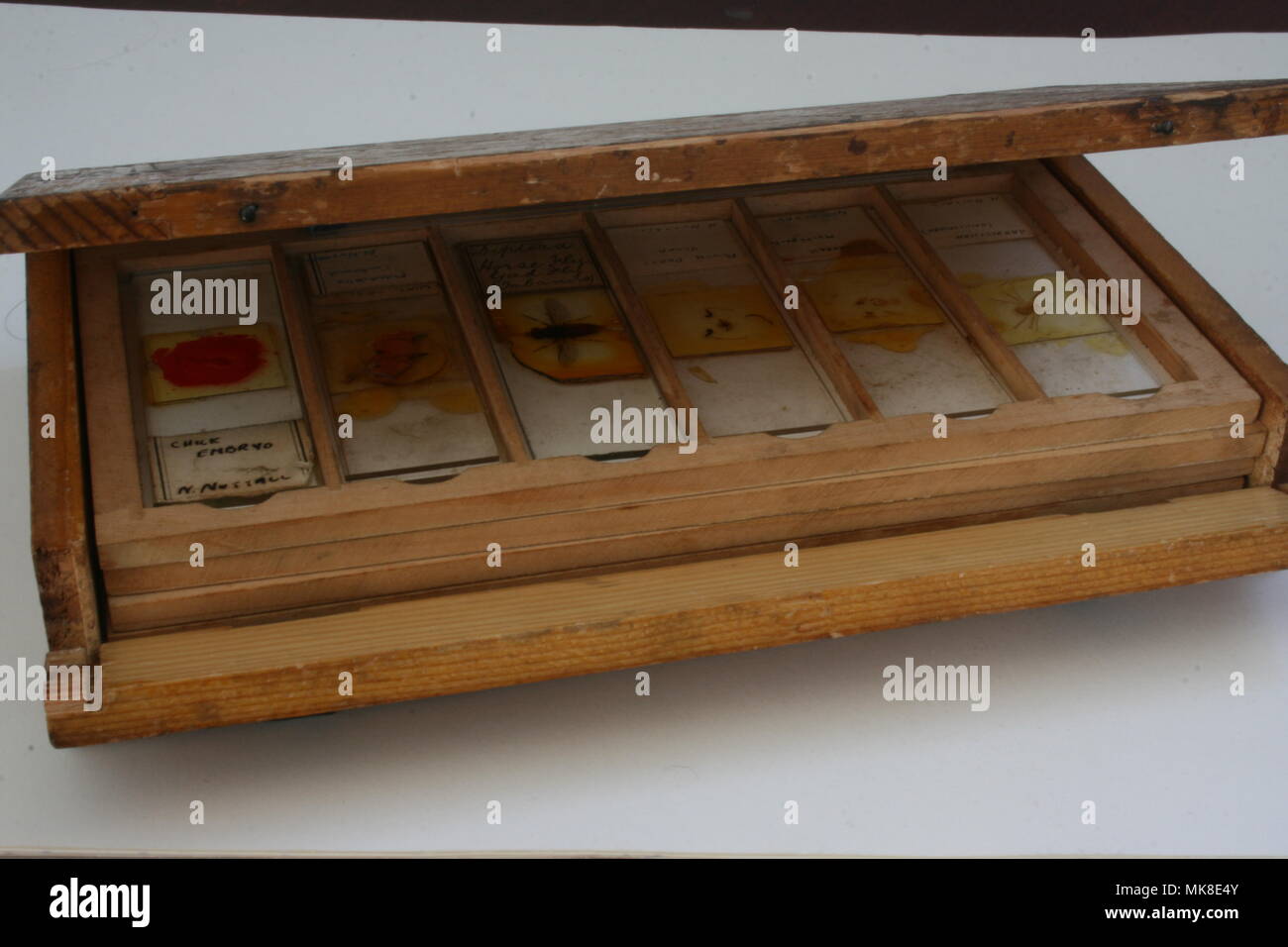 Microscope Slides in wooden tray and Box Stock Photo - Alamy
