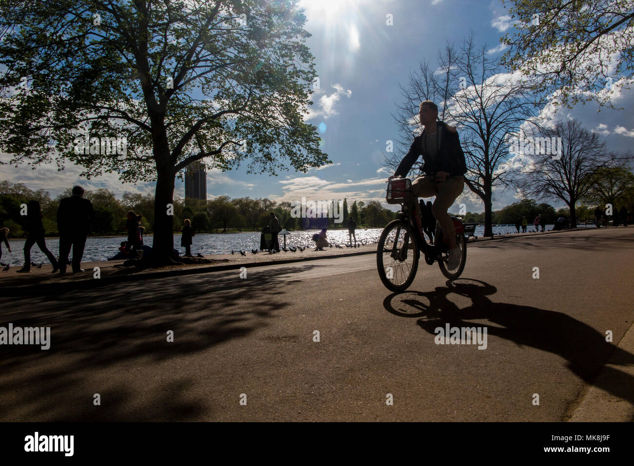 Cycling in Hyde Park in the Spring sunshine Stock Photo - Alamy