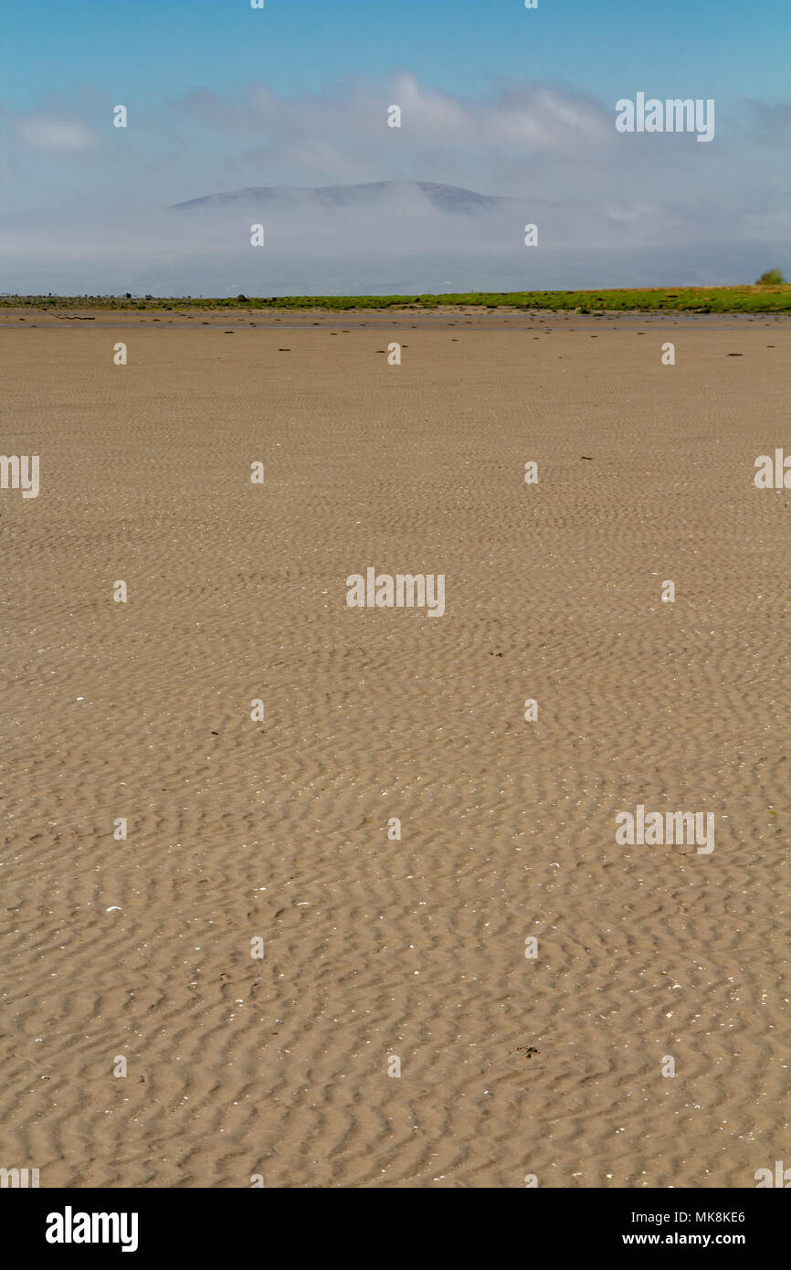 Annan beach hi-res stock photography and images - Alamy