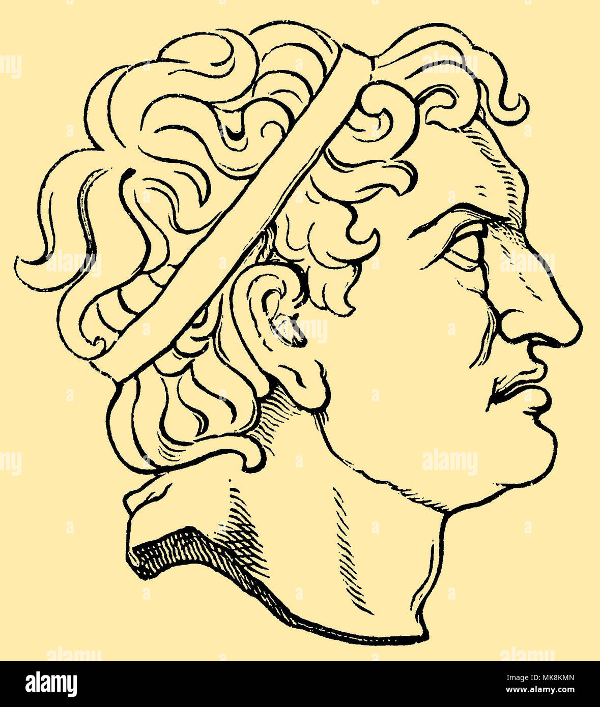 Attalus hi-res stock photography and images - Alamy