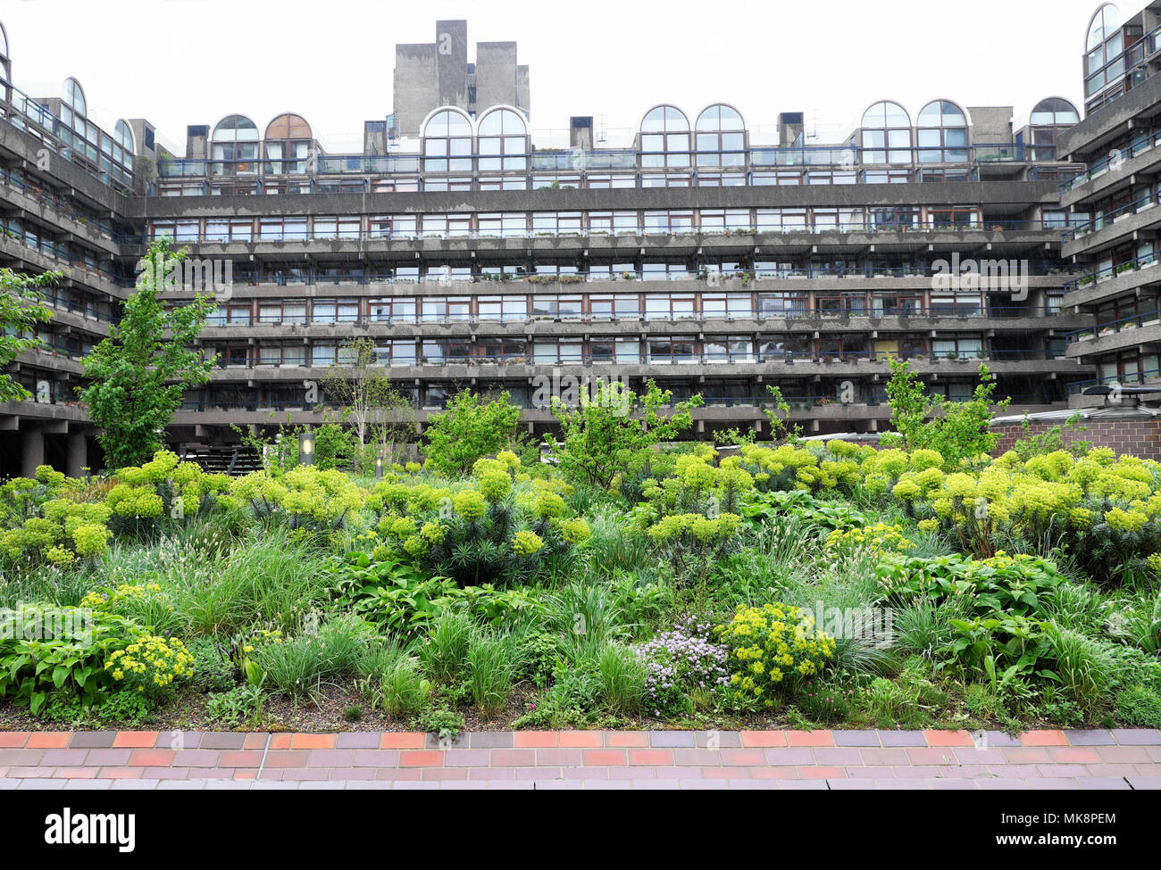 Beech Gardens Nigel Dunnett garden design plants growing in spring and ...