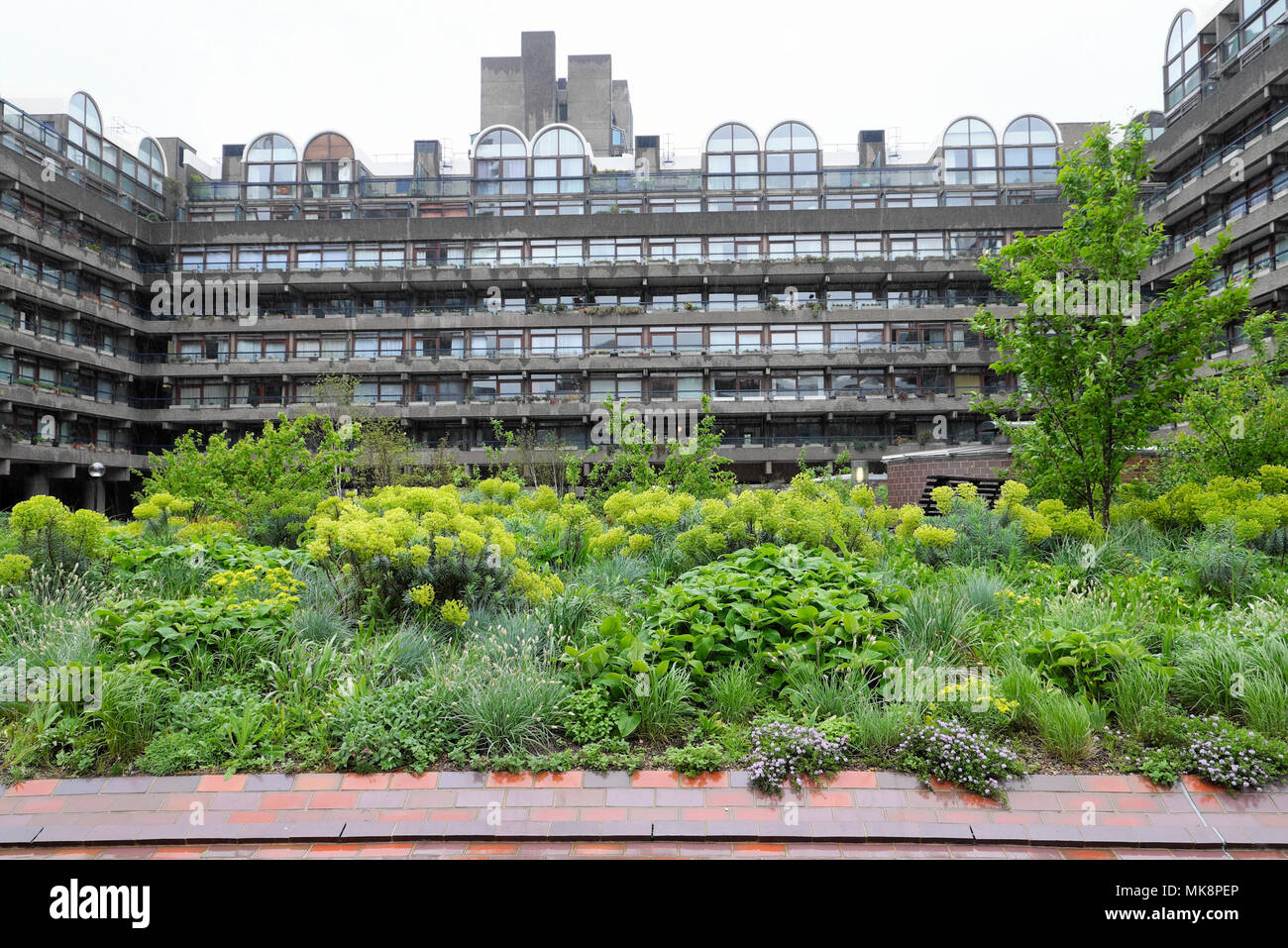 Beech Gardens Nigel Dunnett garden design plants growing in spring and ...