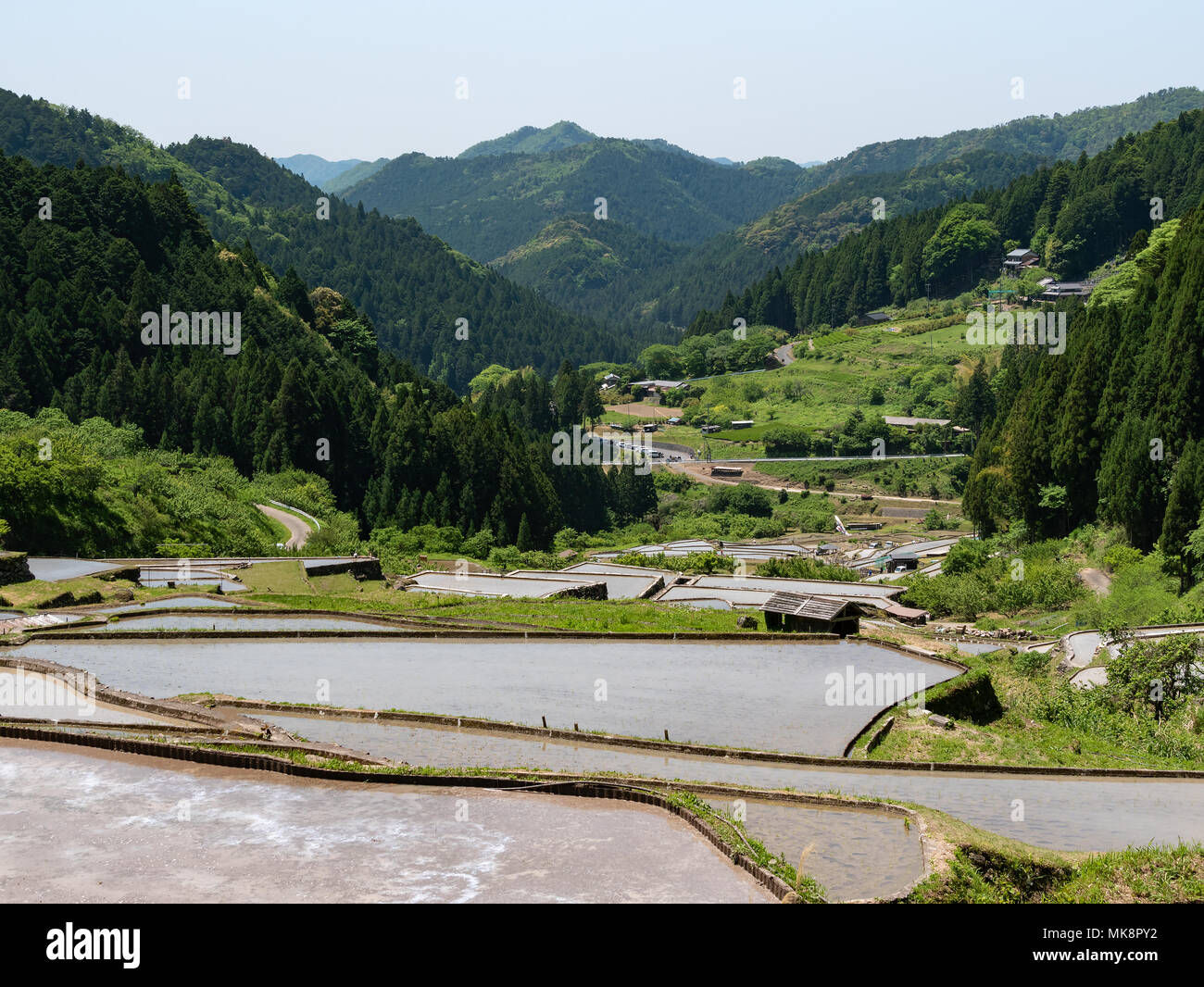 Yotsuya Rice Terrace of Shinshiro in Aichi, Japan Stock Photo - Alamy