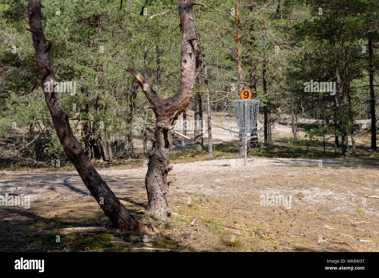 Disc golf course in Valgeranna, Estonia with hole number 9 showing ...