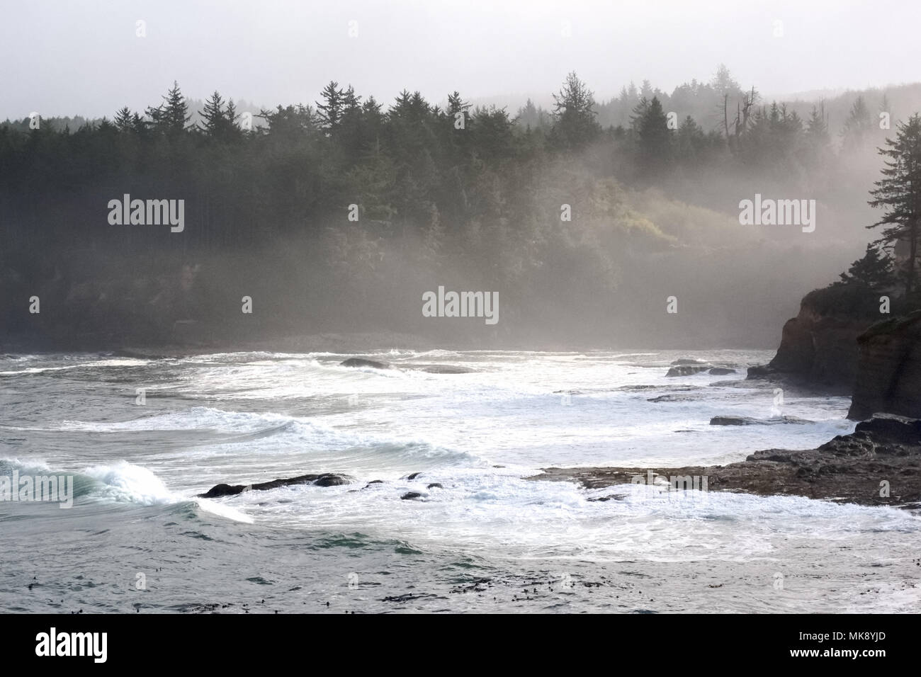Fog over the Oregon Coast Stock Photo - Alamy